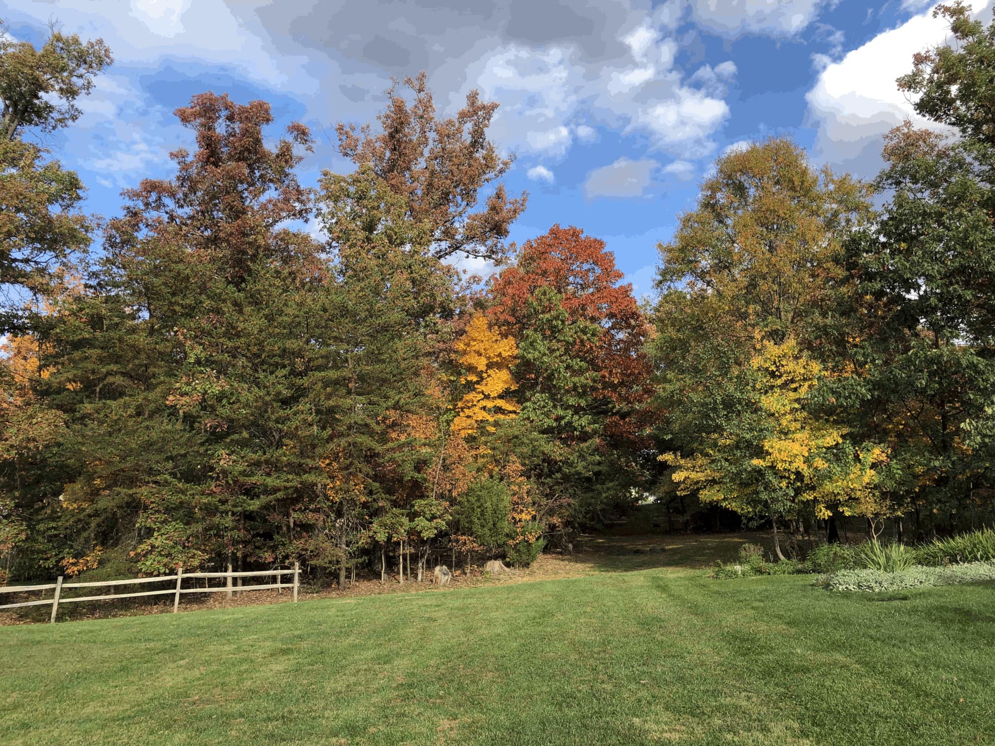 Forest Ridge Homeowners Association, Sterling VA